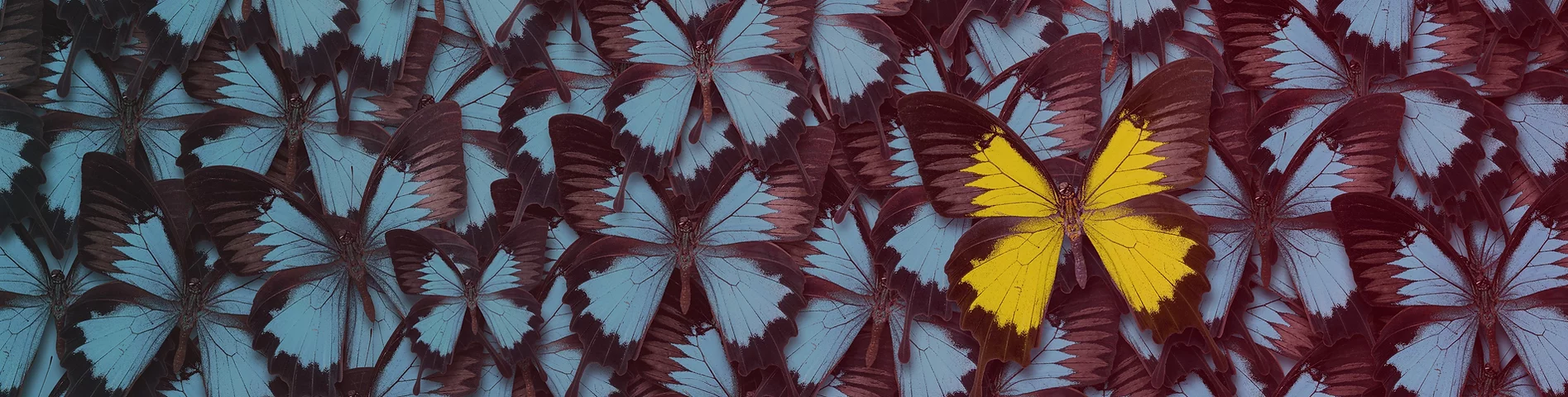 Strategy & Business Models - Kea&Partners